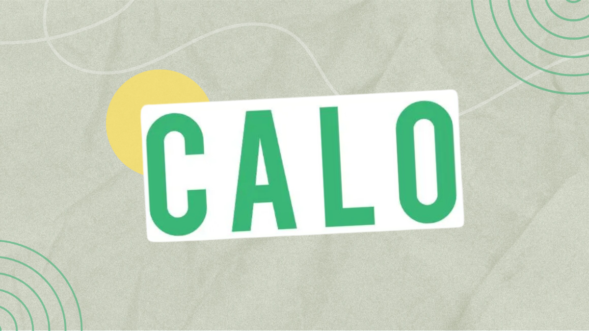 Calo Raises $64M to Fuel Global Expansion of Bespoke Meal Plans - Arageek