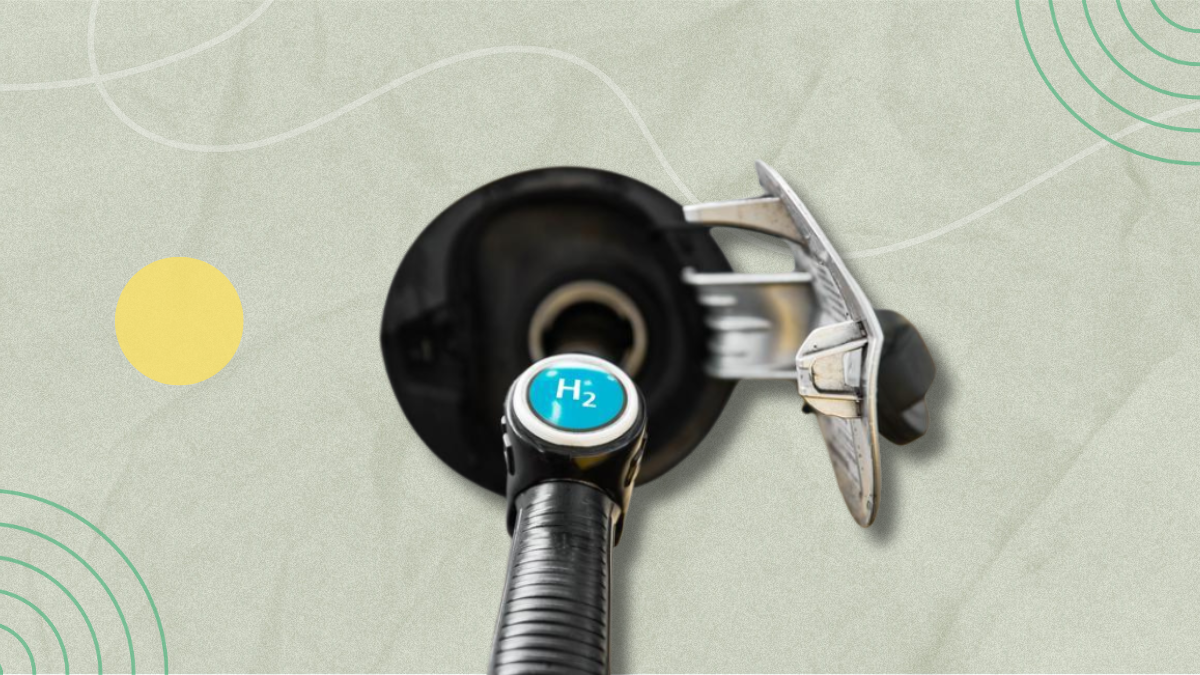 Oman’s Mwasalat Rolls Out Hydrogen Vehicles Ahead of Major Green Energy ...